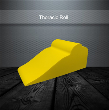 Denneroll Spine Correction Devices Singapore - ALPHA