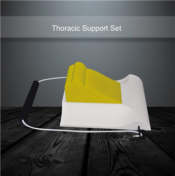 Denneroll Spine Correction Devices Singapore - ALPHA