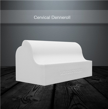 Denneroll Spine Correction Devices Singapore - ALPHA